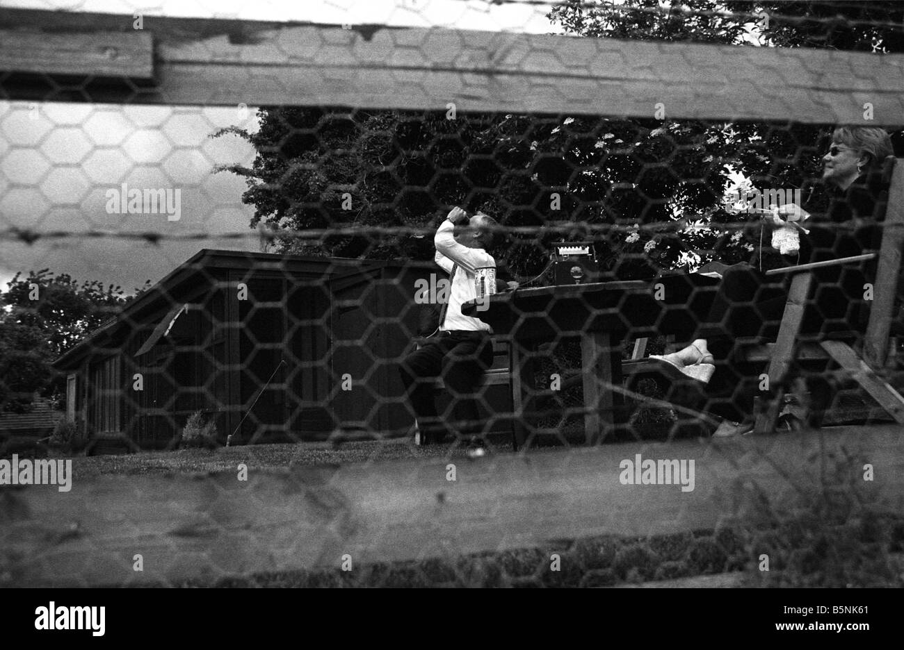 Pigeon racing in the UK. Working class sport Stock Photo - Alamy