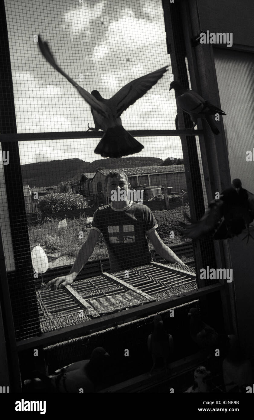 Pigeon racing in the UK. Working class sport Stock Photo - Alamy