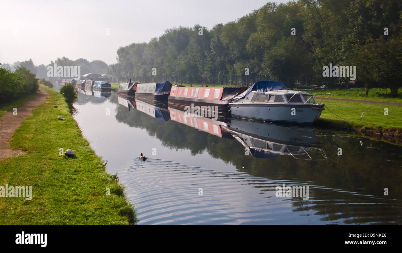 Misty autumn morning with narrowboats Erewash canal Trent Lock Sawley ...