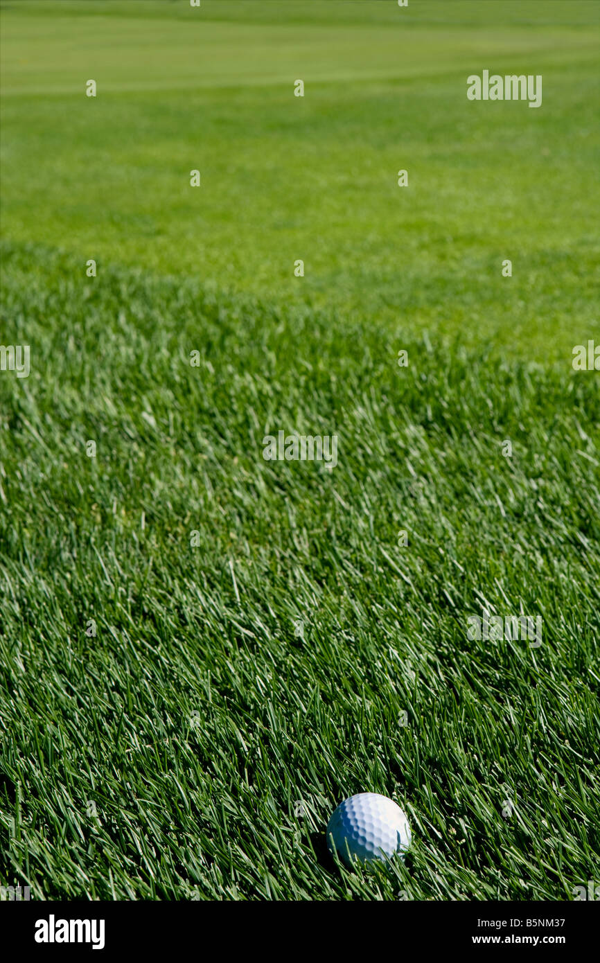 A golf ball in the rough Stock Photo - Alamy