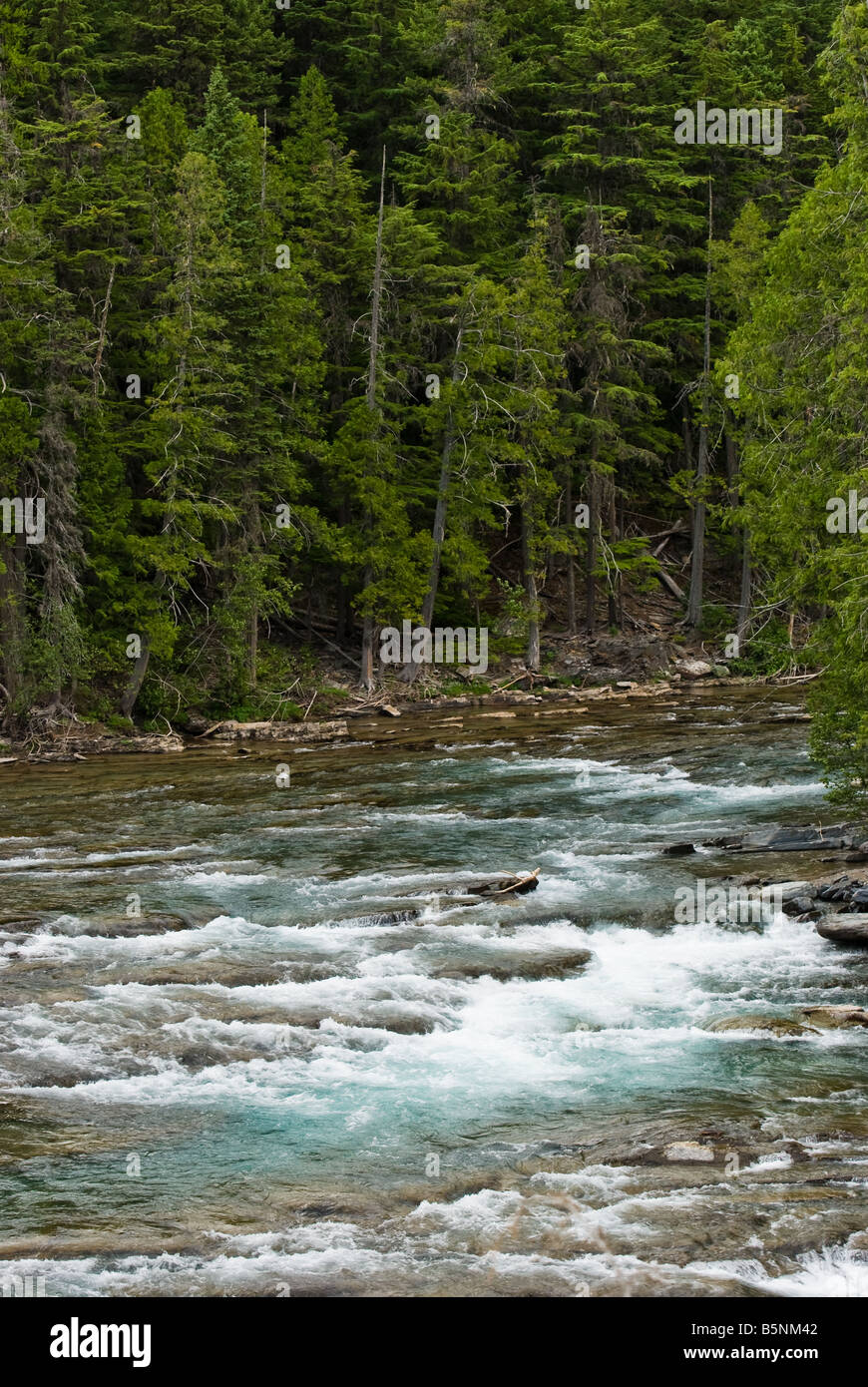 Gallatin flows through the Gallatin National Forest near West ...
