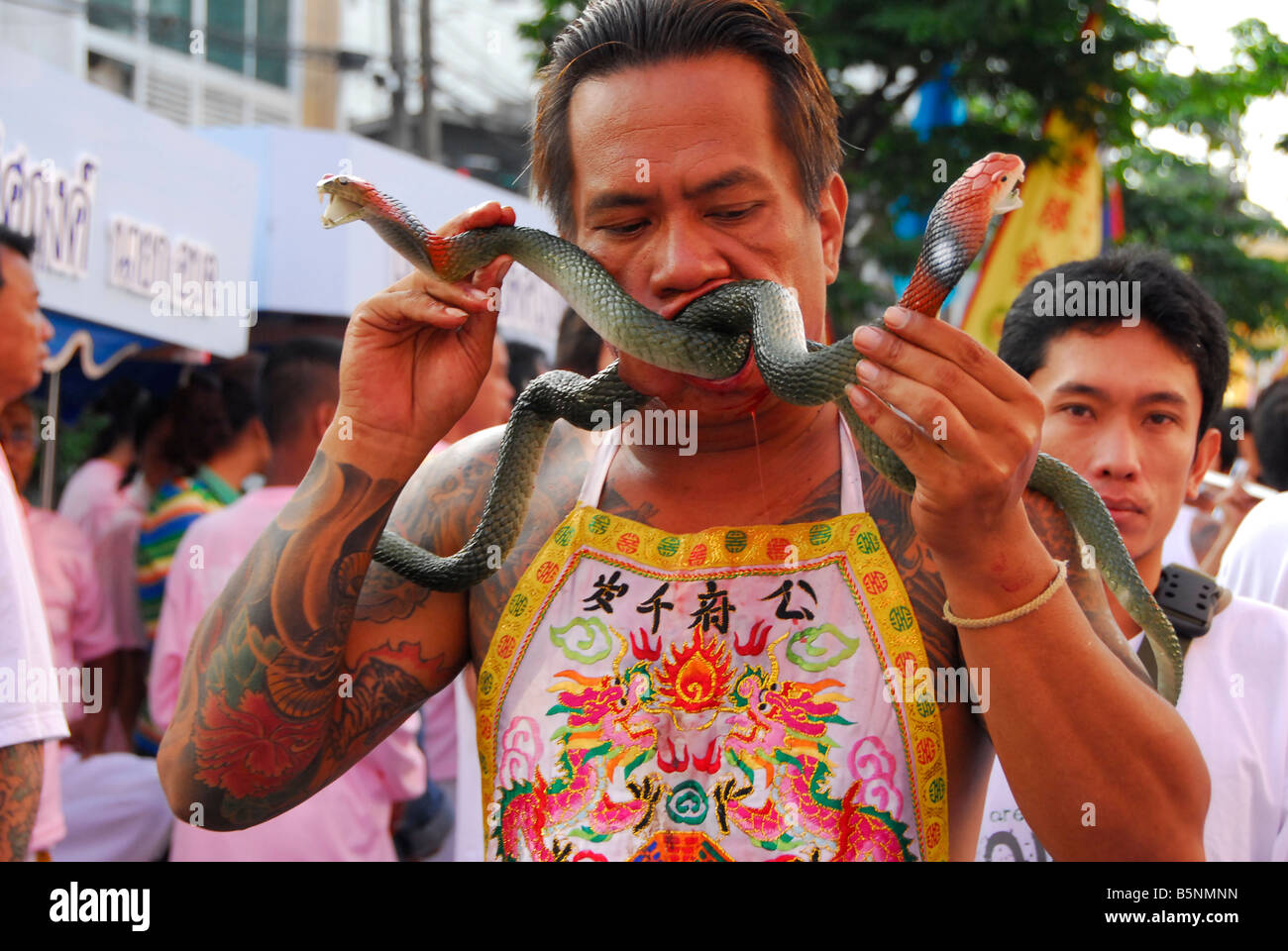 Snakes of phuket hi-res stock photography and images - Alamy