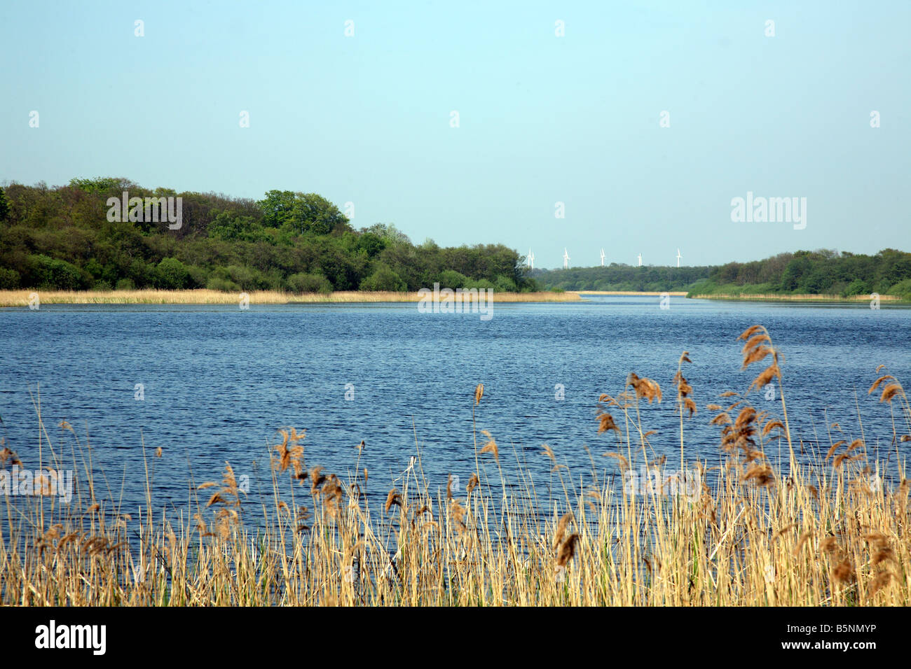 Rollesby broad hi-res stock photography and images - Alamy