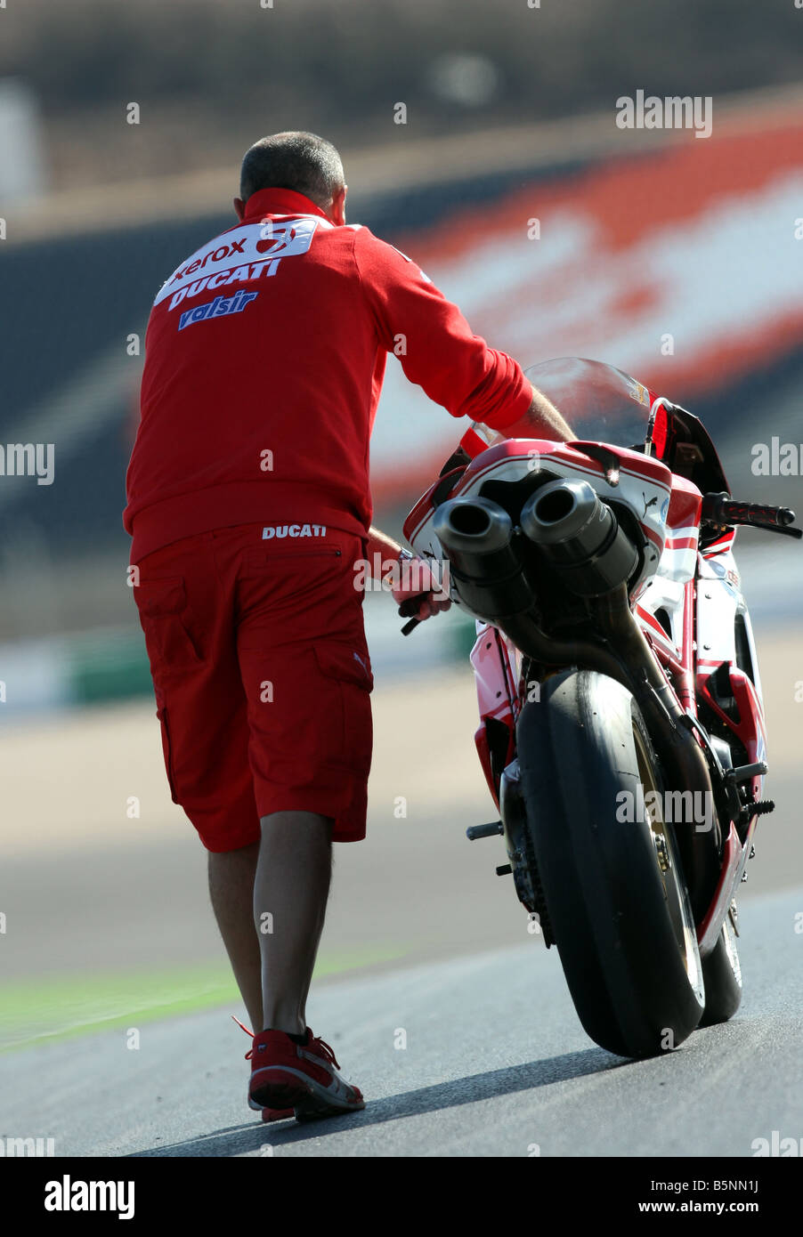 2008 world superbike winning machine of troy bayliss 21 xerox ducati ...