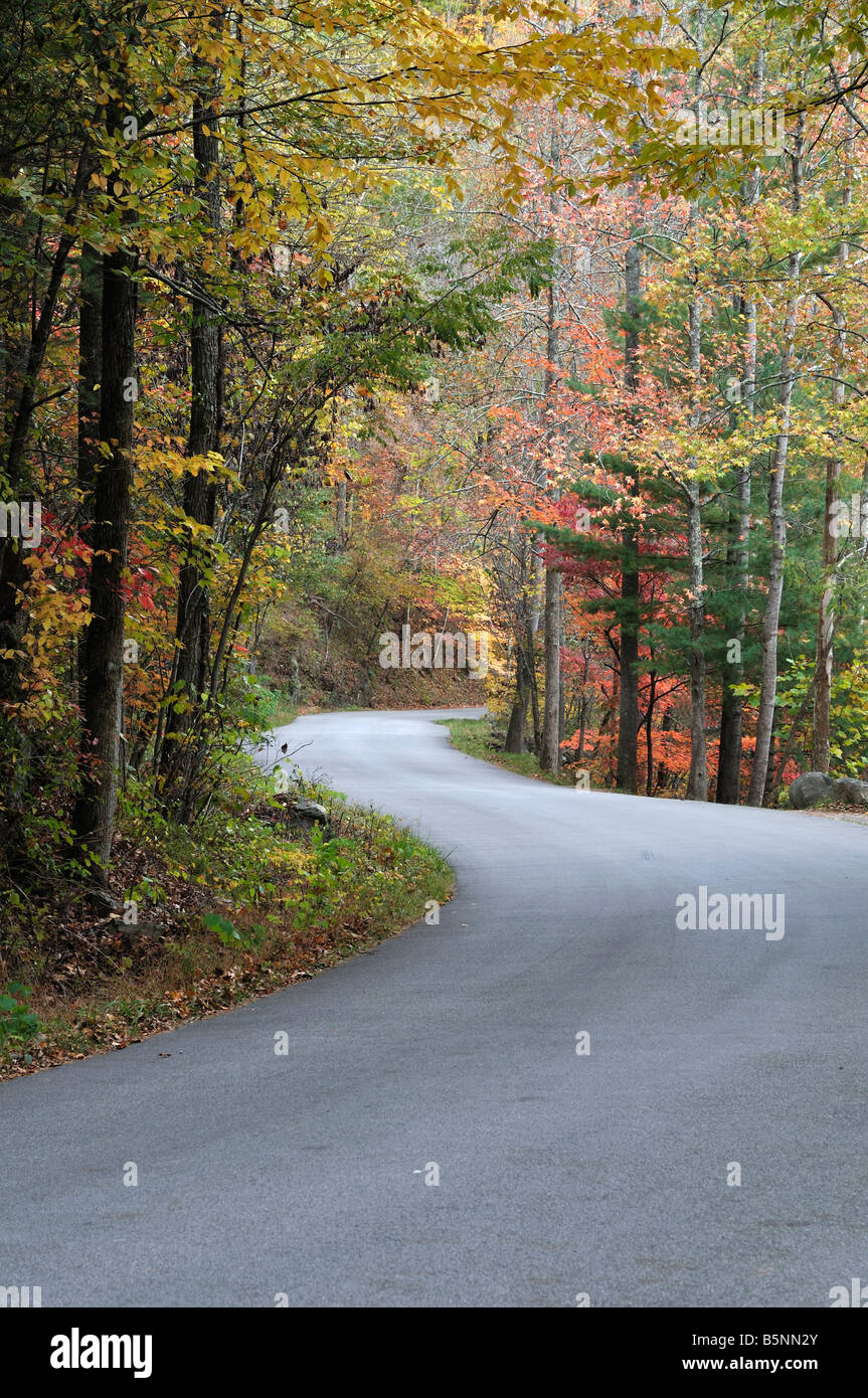A curvy country road in the fall Stock Photo - Alamy