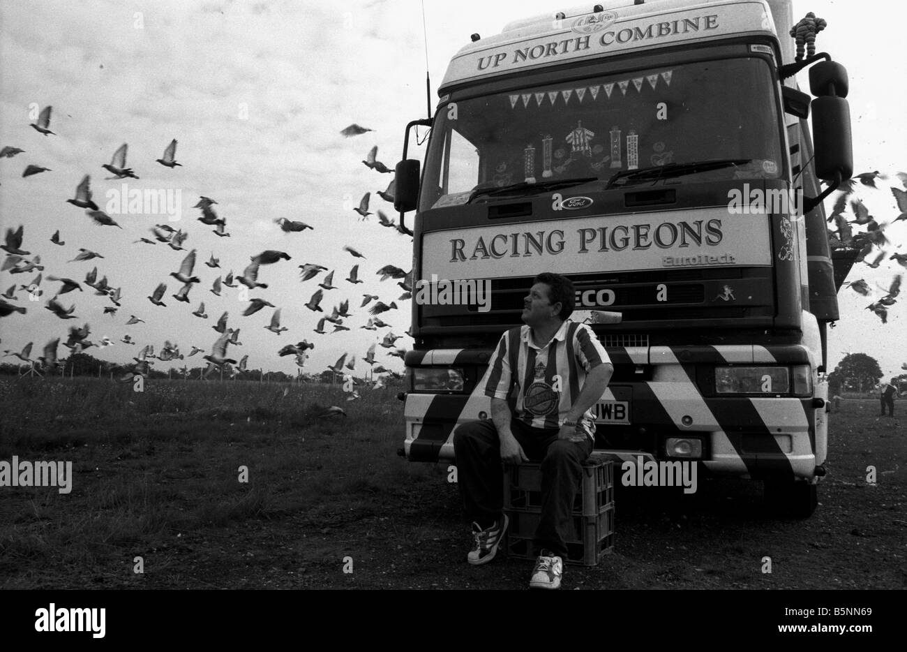 Pigeon racing in the UK. Working class sport Stock Photo - Alamy