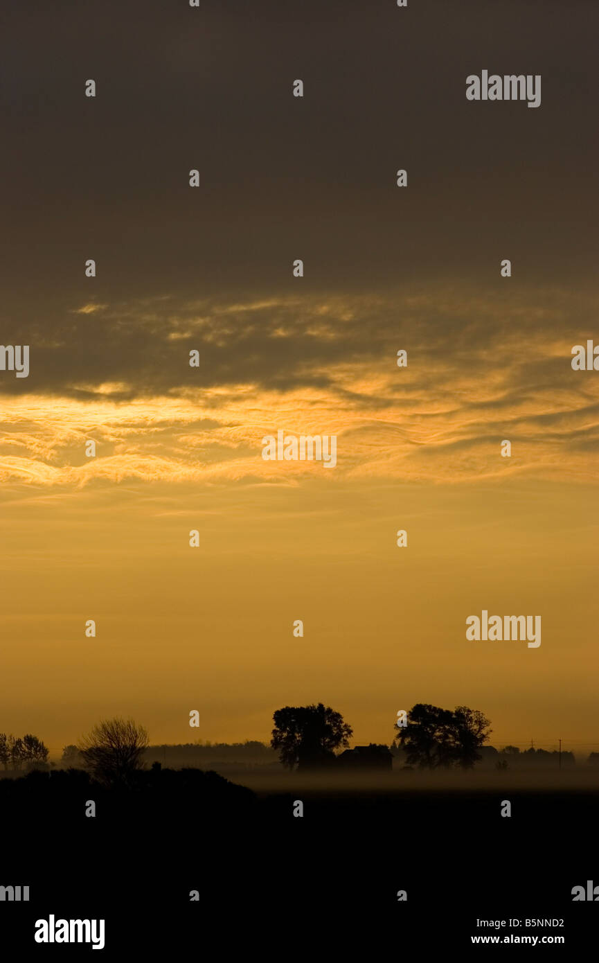 A golden sunrise over farmland Stock Photo - Alamy