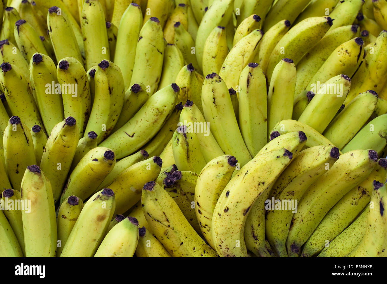 Starchy banana hi-res stock photography and images - Alamy
