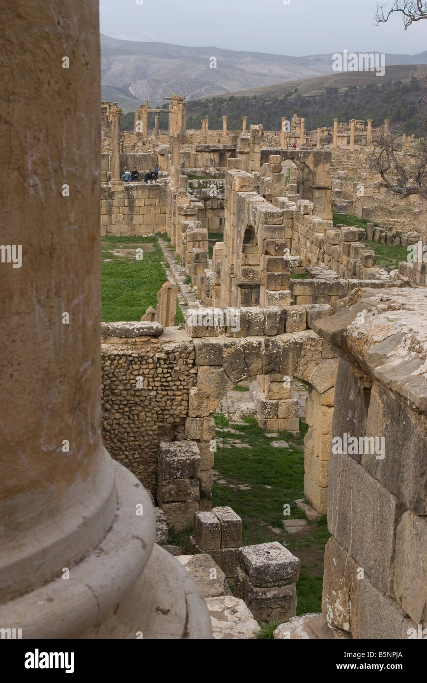 Overview, Roman site of Djemila, Algeria Stock Photo - Alamy