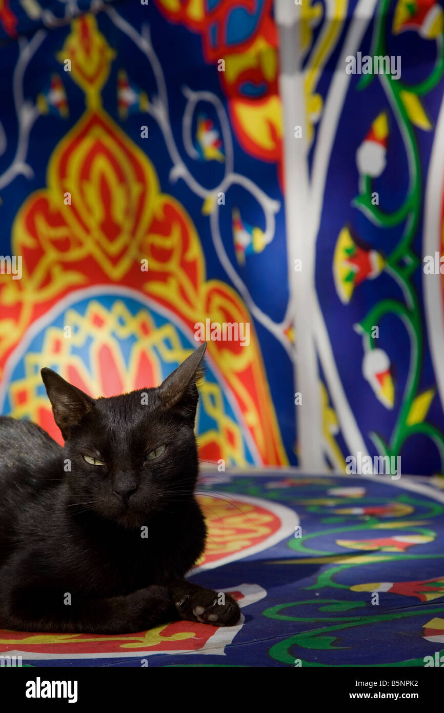 black kat in colourfull marketplace Stock Photo - Alamy