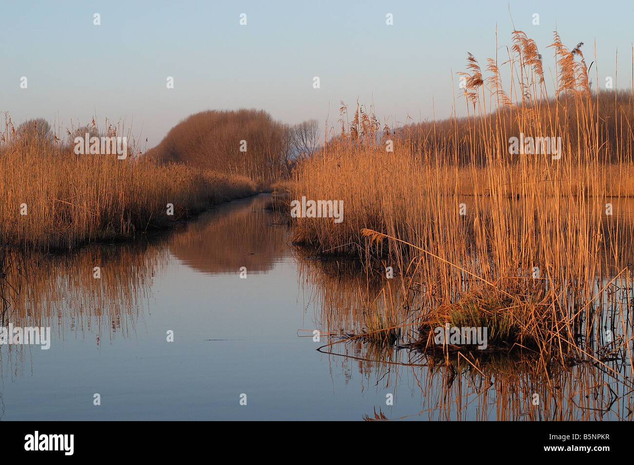 Marsh canal hi-res stock photography and images - Alamy