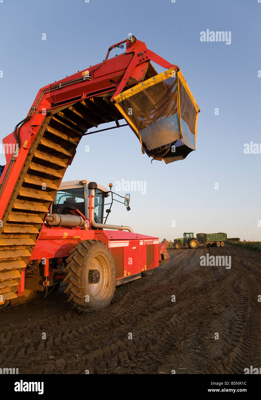 Self propelled potato harvester showing elevator with tractor and ...