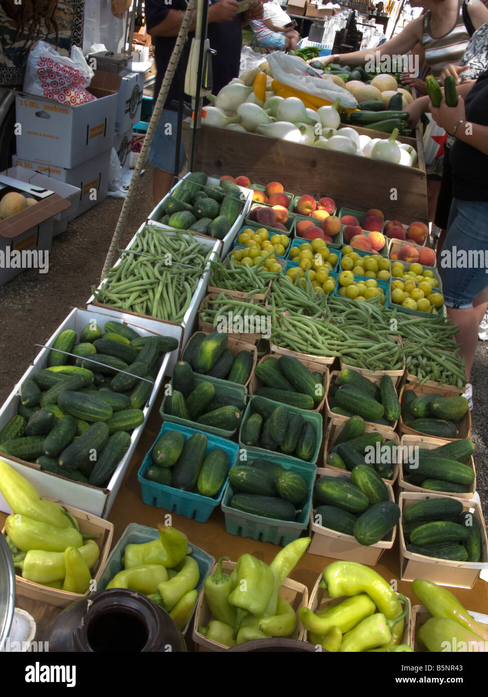 FARMERS MARKET STALL BROOKVILLE JEFFERSON COUNTY PENNSYLVANIA USA Stock ...