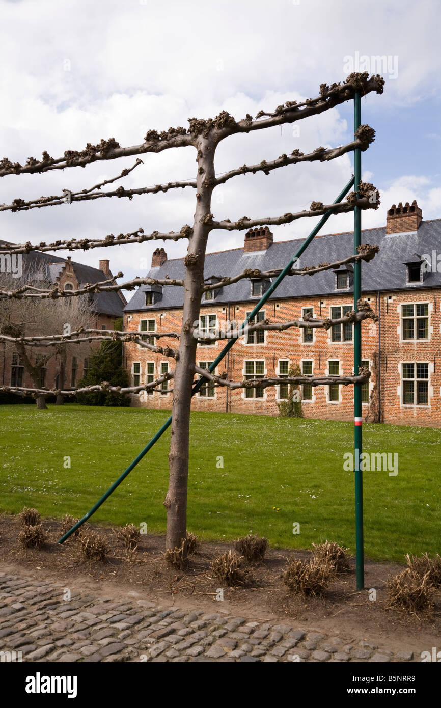 Beguine religious movement hi-res stock photography and images - Alamy