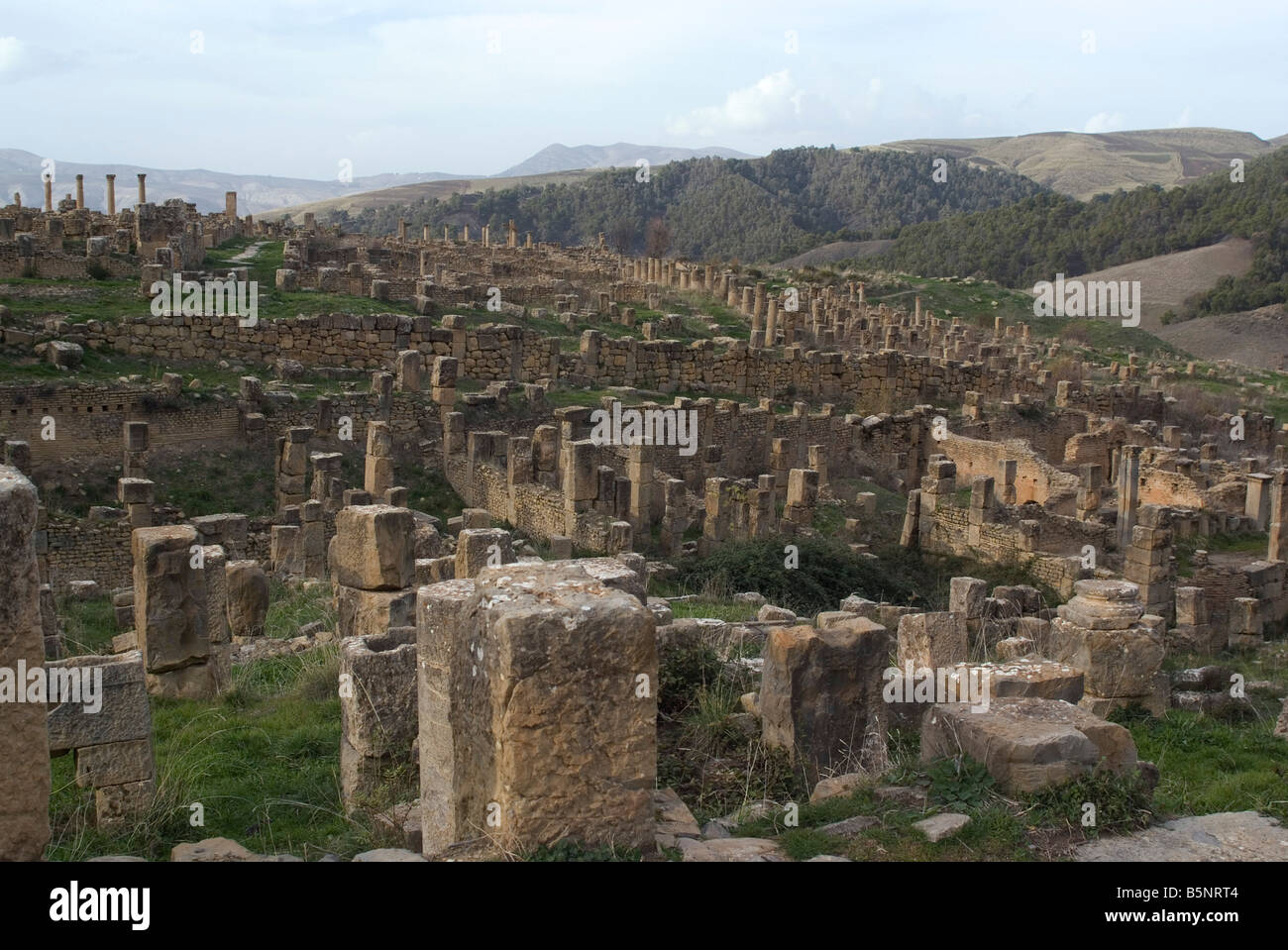 Overview, Roman site of Djemila, Algeria, Northwest Africa Stock Photo ...