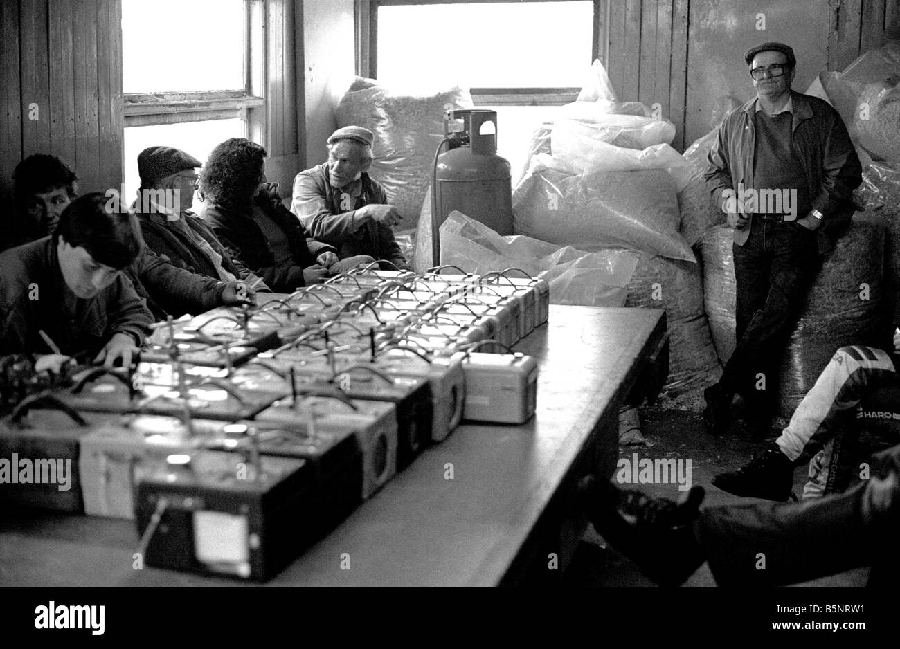 Pigeon racing in the UK. Working class sport Stock Photo - Alamy