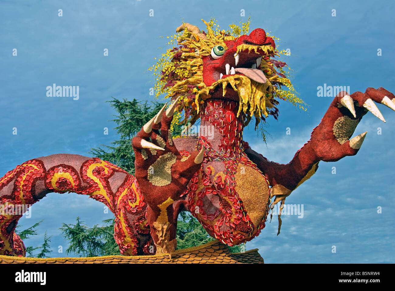Poly culture hi-res stock photography and images - Alamy