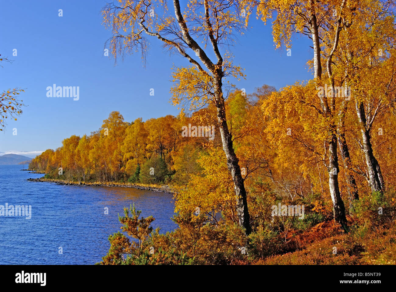 Loch Rannoch Perthshire Scotland UK Stock Photo - Alamy