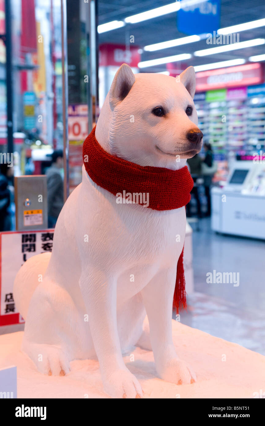 Model of a Kishu dog in an electronics store in the Shibuya district of ...
