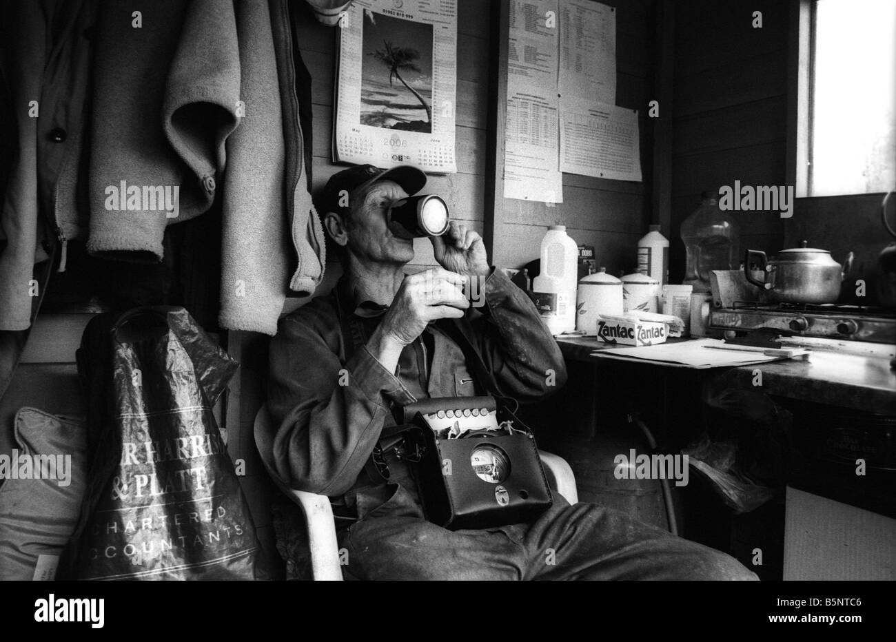 Pigeon racing in the UK. Working class sport Stock Photo - Alamy