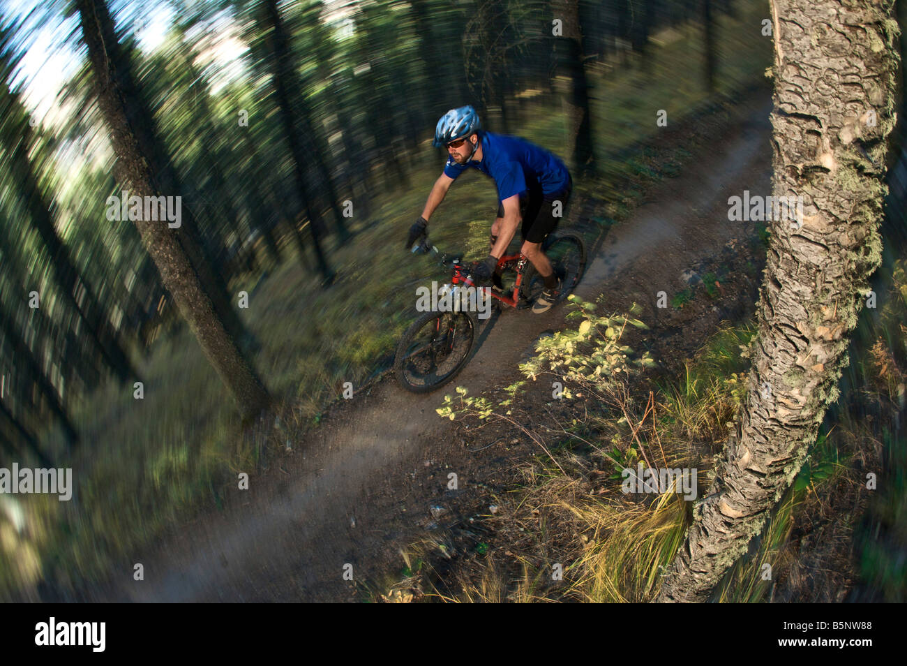 A biker rides sink or swim Jackson WY Stock Photo - Alamy
