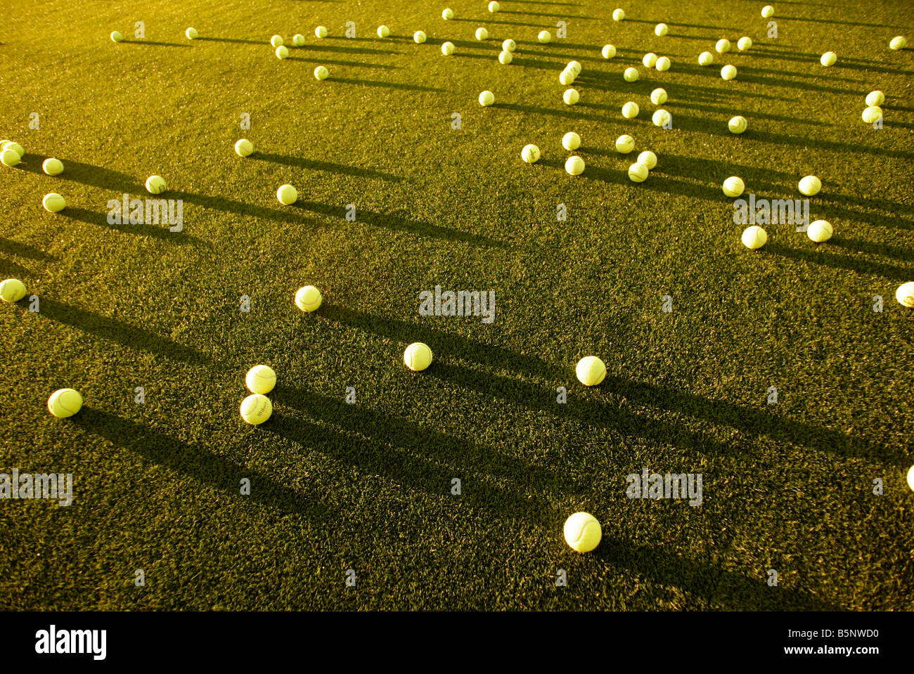 Tennis balls on grass court Stock Photo - Alamy