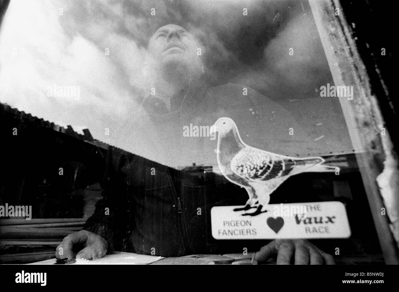 Pigeon racing in the UK. Working class sport Stock Photo - Alamy
