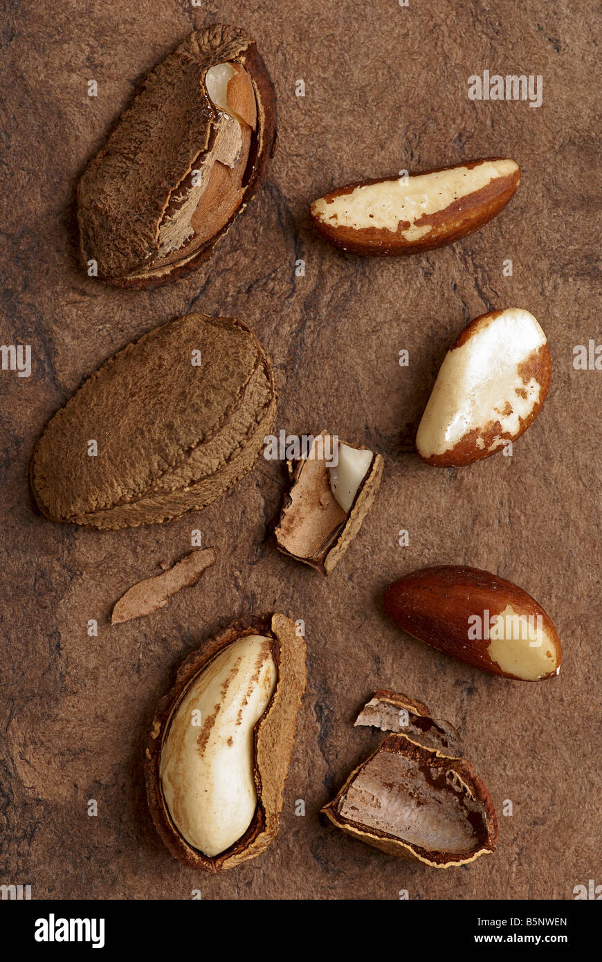 brazilian nuts with and without shells on a dark background Stock Photo ...