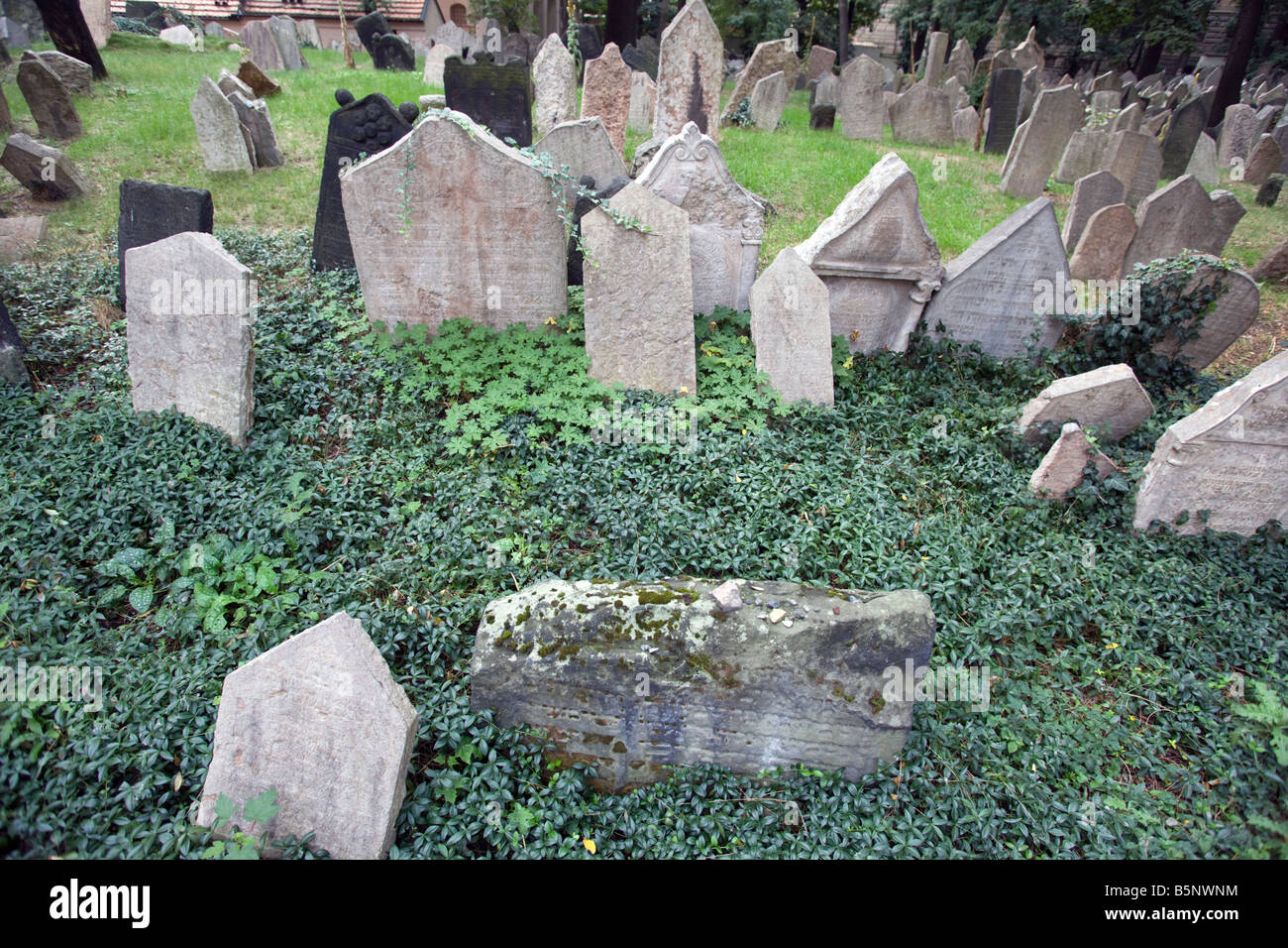 CROWDED TOMBSTONES OLD JEWISH CEMETERY JOSEFOV JEWISH QUARTER PRAGUE ...