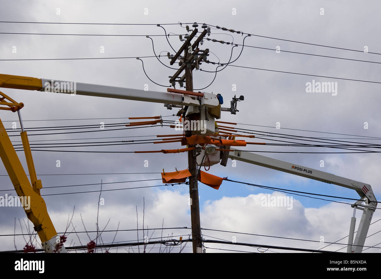 Cherry pickers leading to power lines Stock Photo - Alamy