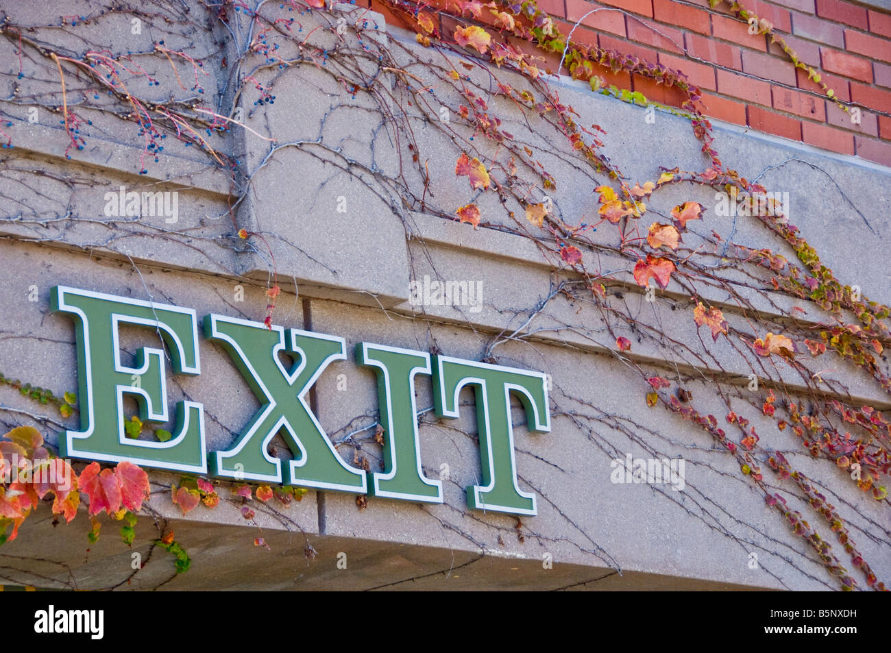 Exit sign on automobile parking structure Stock Photo - Alamy