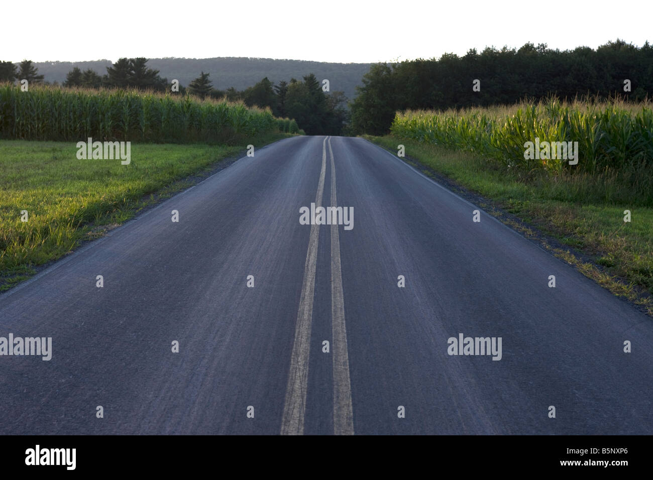 Empty rural roads hi-res stock photography and images - Alamy