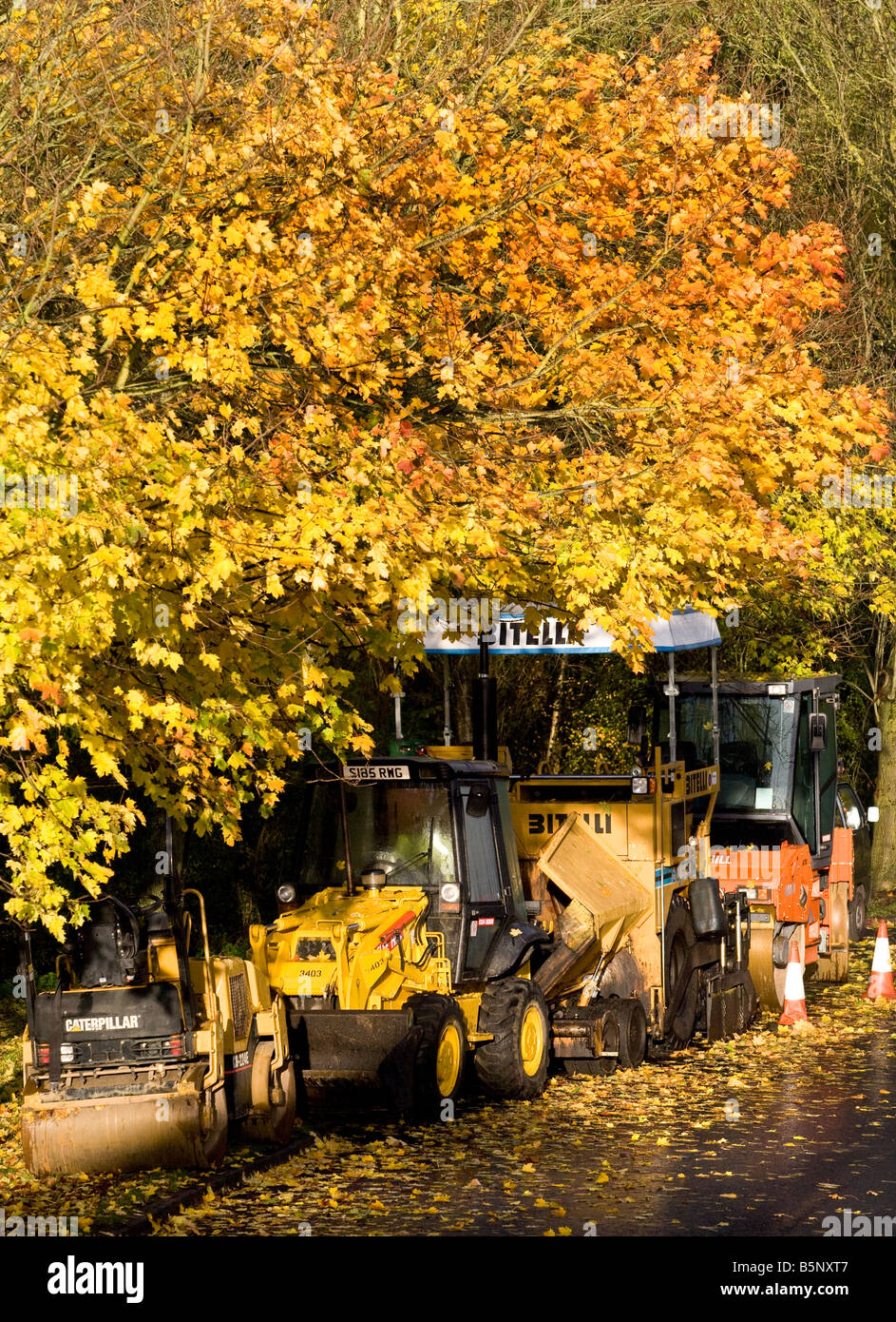 Road construction machinery under trees showing their autumn colors ...