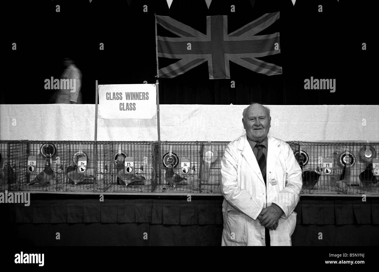 Pigeon racing in the UK. Working class sport Stock Photo - Alamy