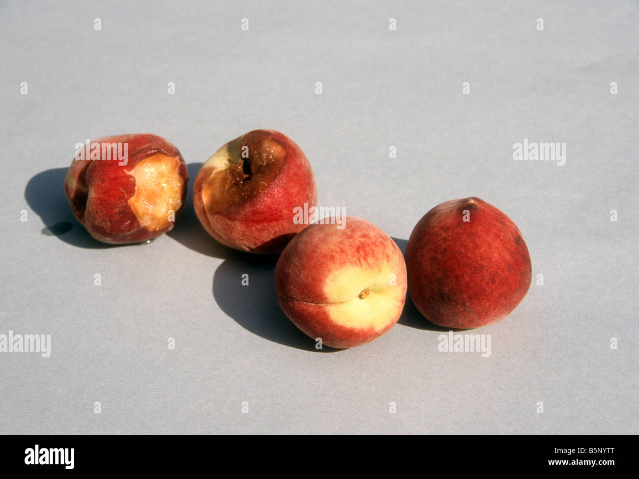 Irradiated fruit hi-res stock photography and images - Alamy