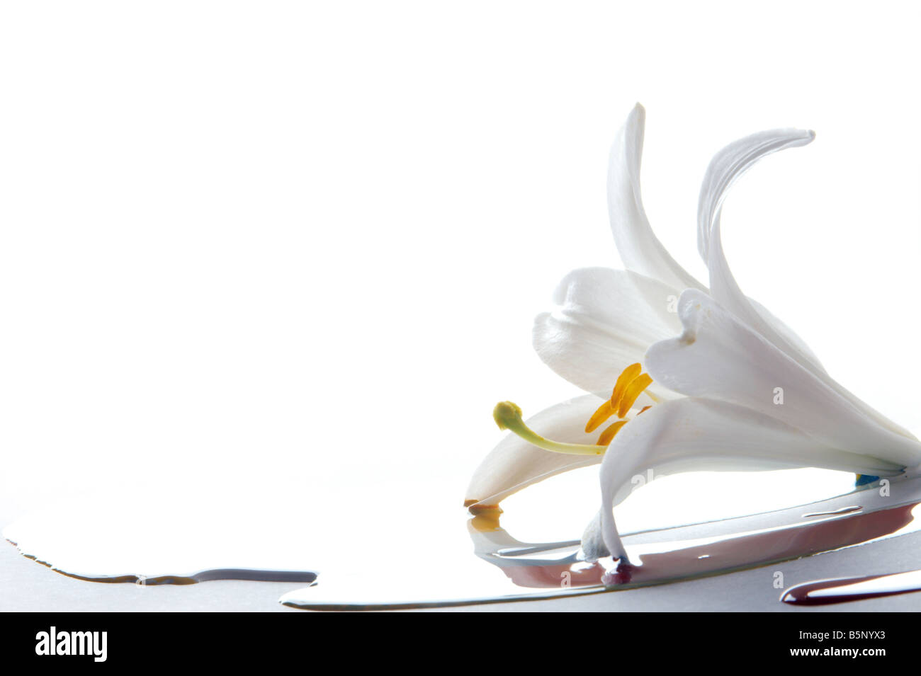 The abstract image from three colors on a white background Stock Photo ...