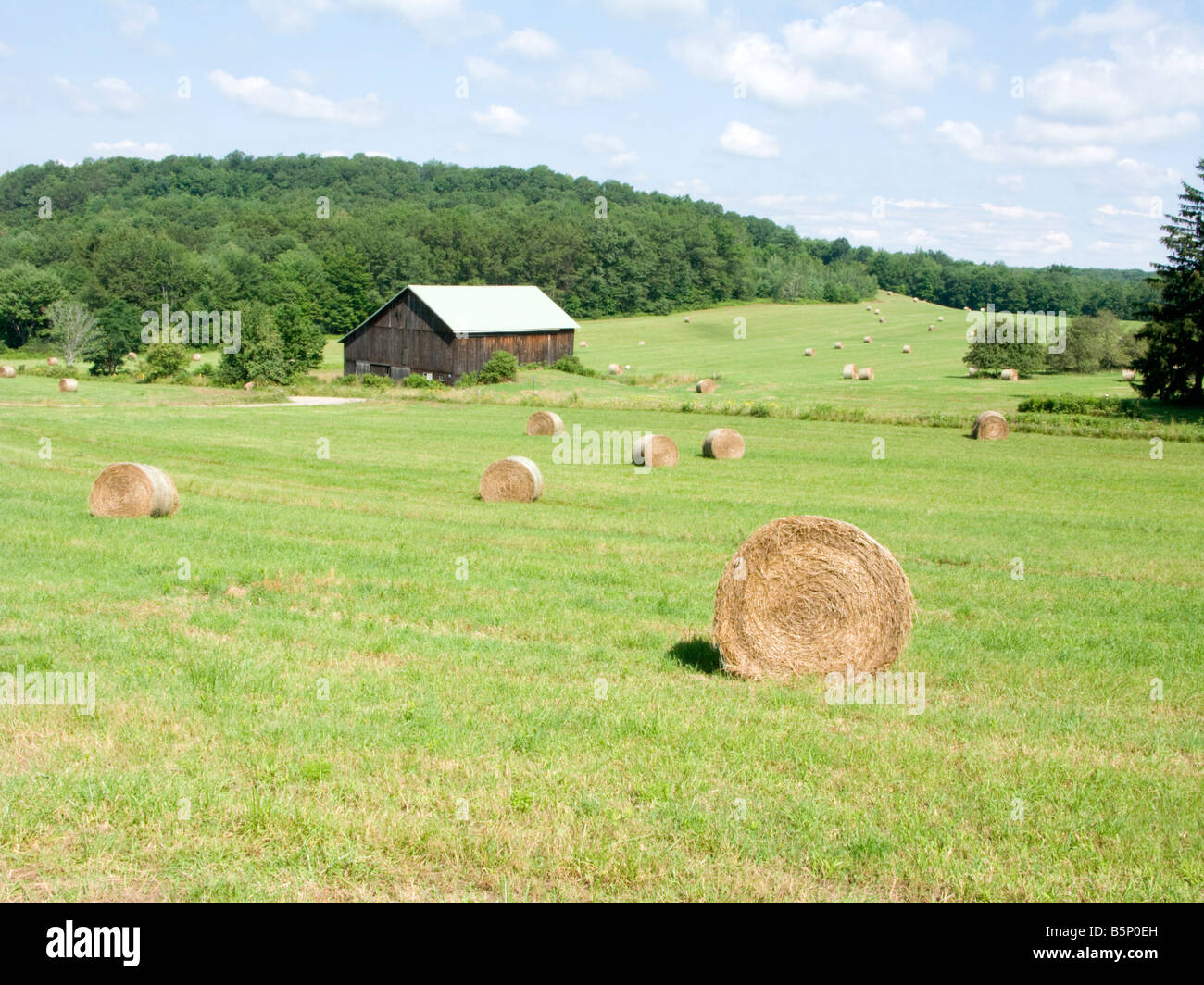 Pennsylvania field hi-res stock photography and images - Alamy