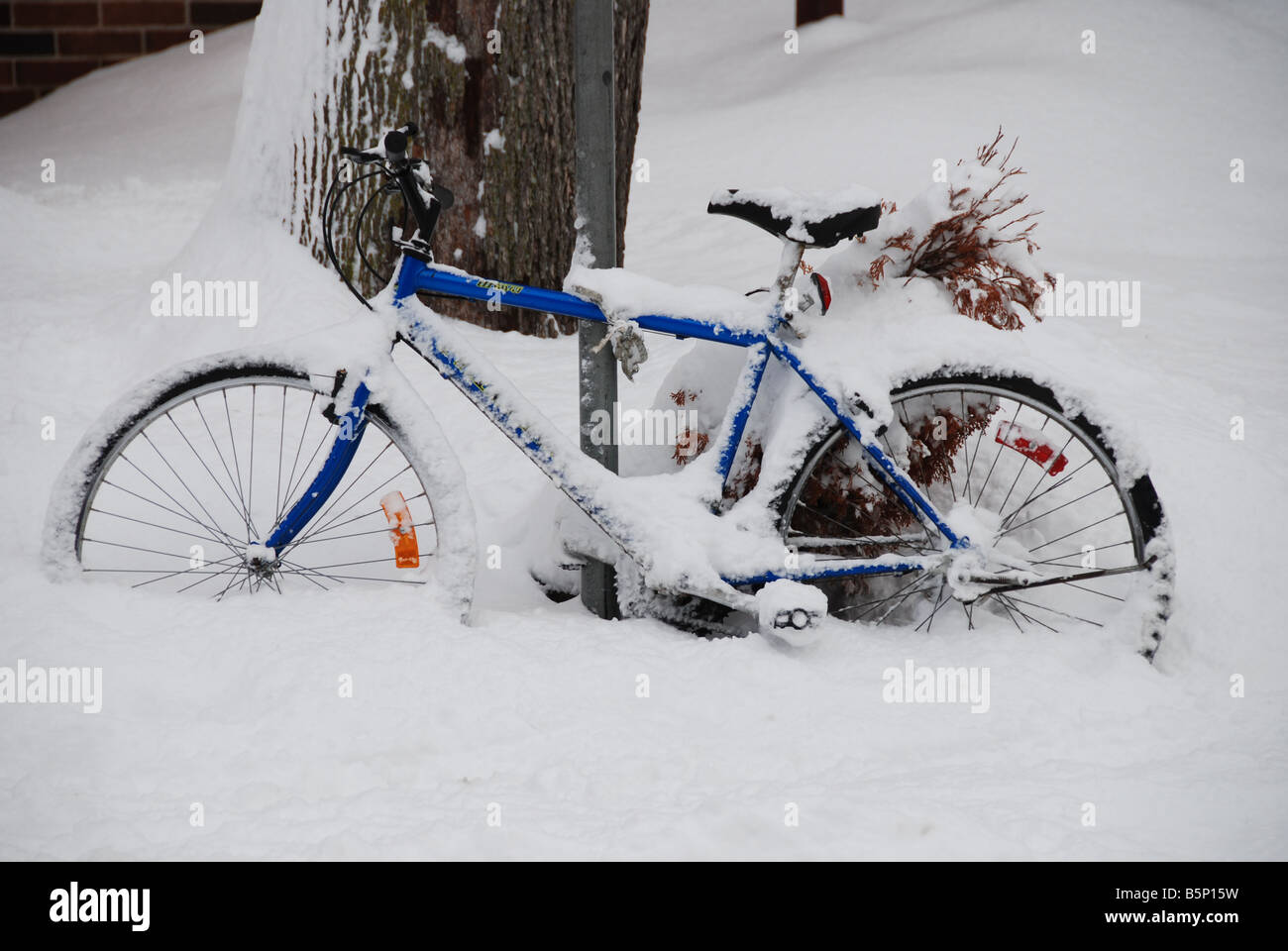 A bicycle chained against a pole after a heavy snowstorm Stock Photo ...
