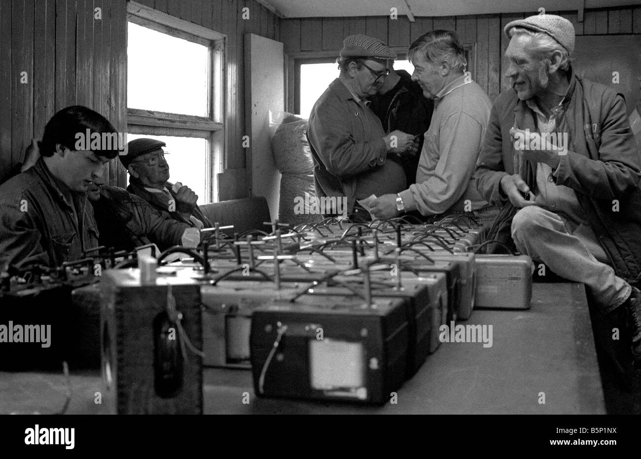 Pigeon racing in the UK. Working class sport Stock Photo - Alamy