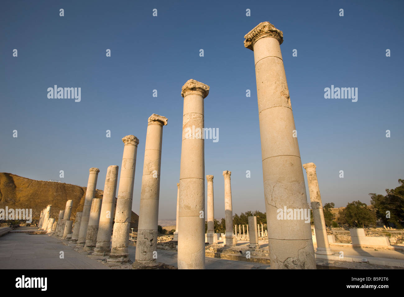 PALLADIUS STREET BYZANTINE COLONNADE RUINS TEL BEIT SHEAN NATIONAL PARK ...