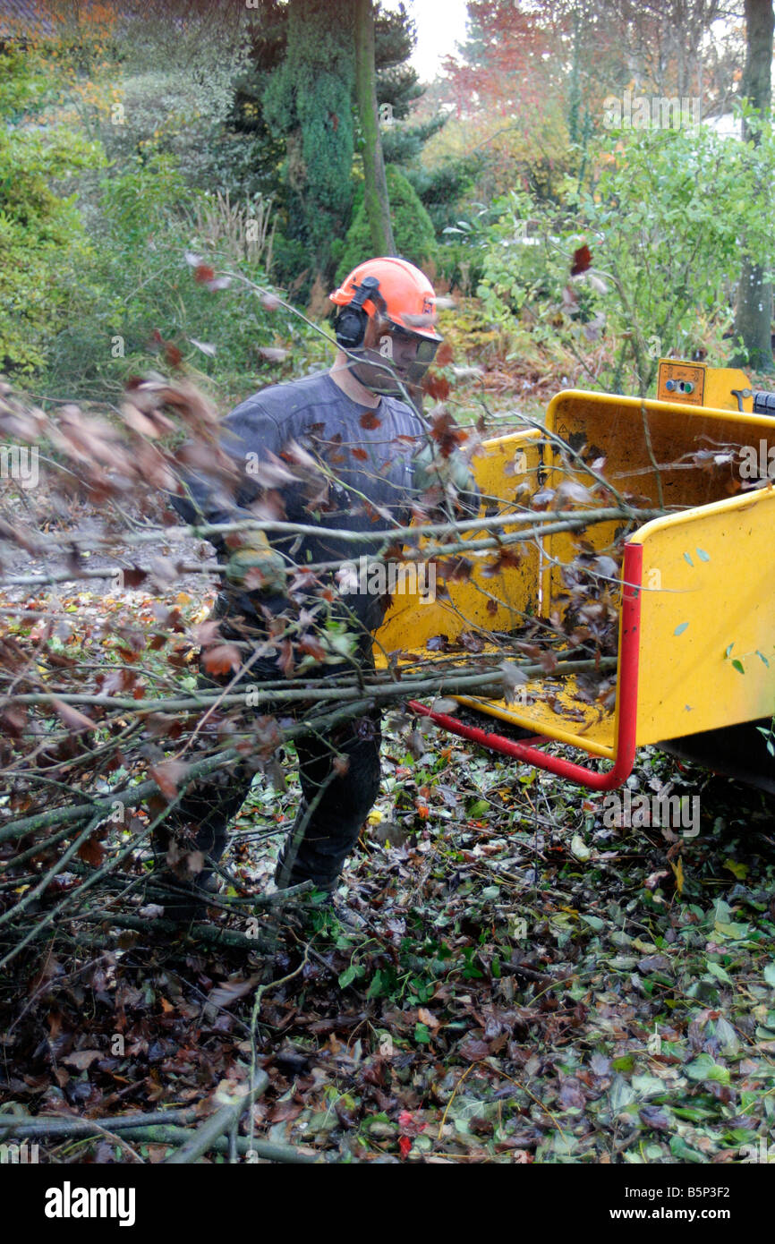 Tree work operation hi-res stock photography and images - Alamy