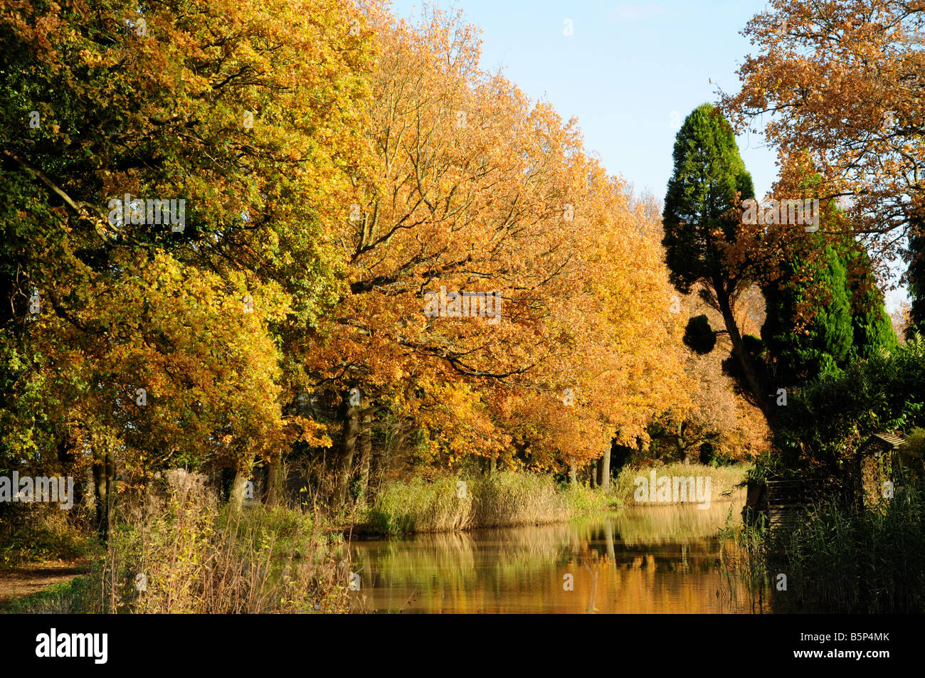 England countryside leaves hi-res stock photography and images - Alamy