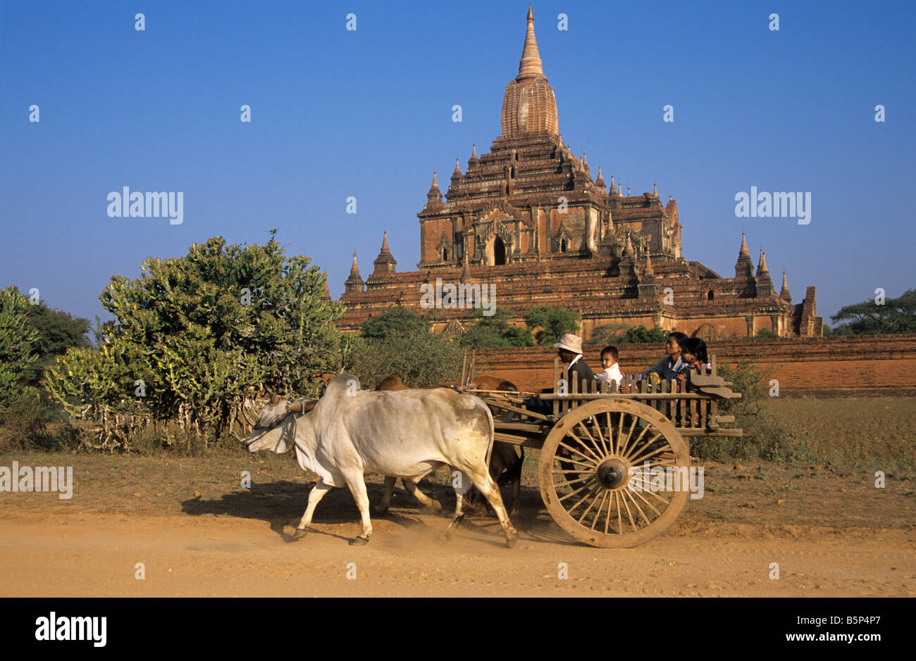 Ox transport hi-res stock photography and images - Alamy