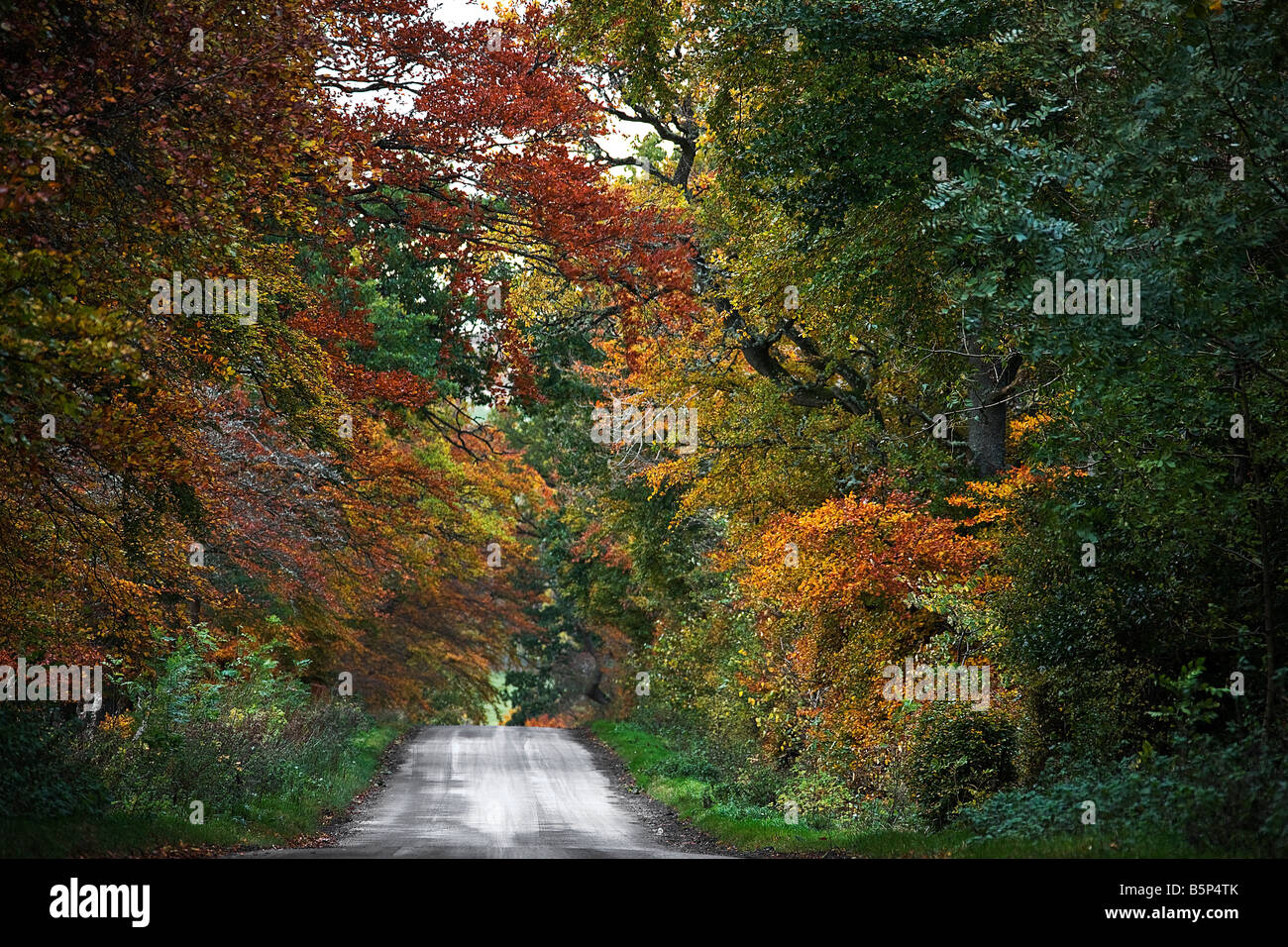 Longformacus scotland hi-res stock photography and images - Alamy