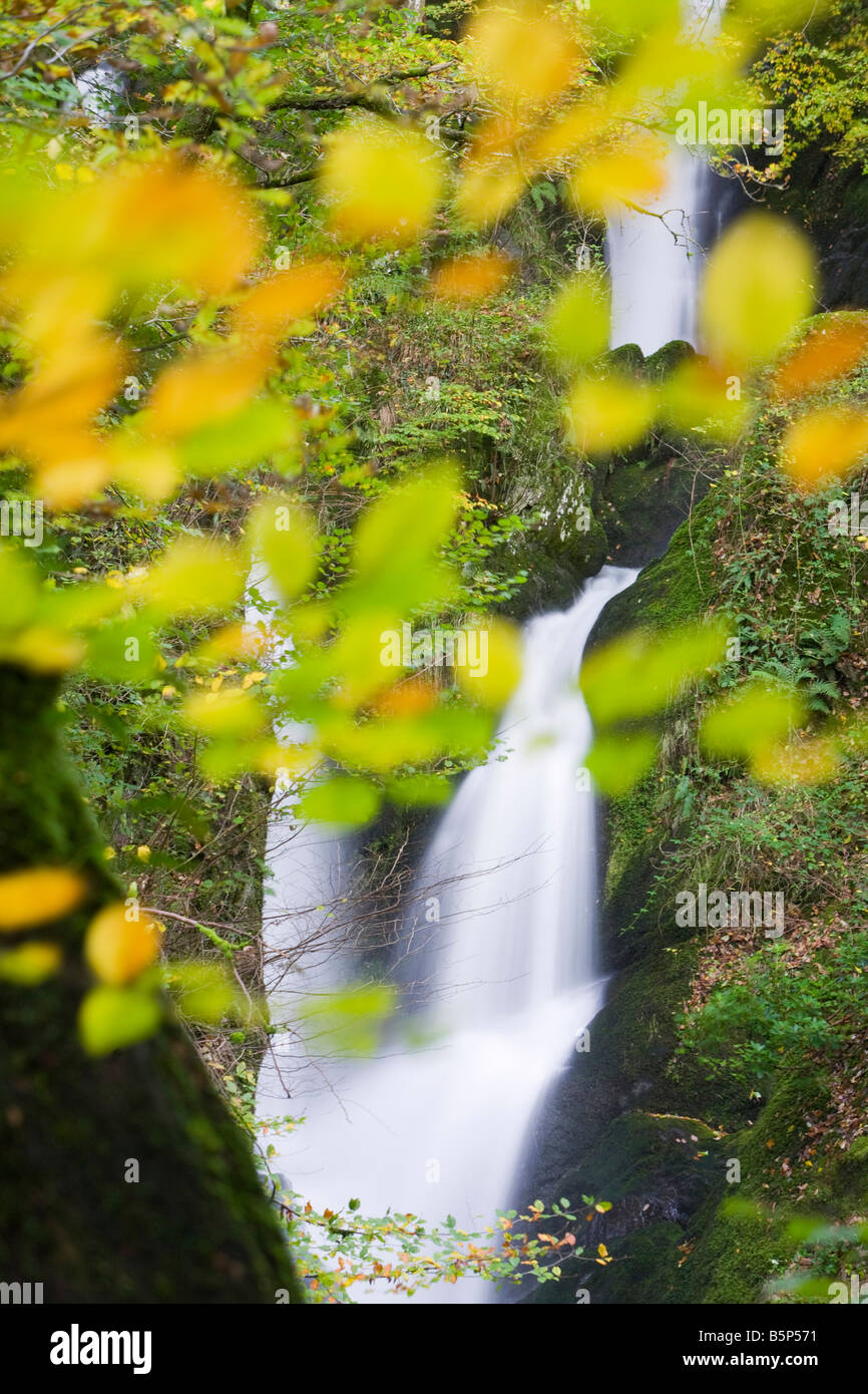 Stock Ghyll waterfall and surrounding woodland in autumn colours in ...