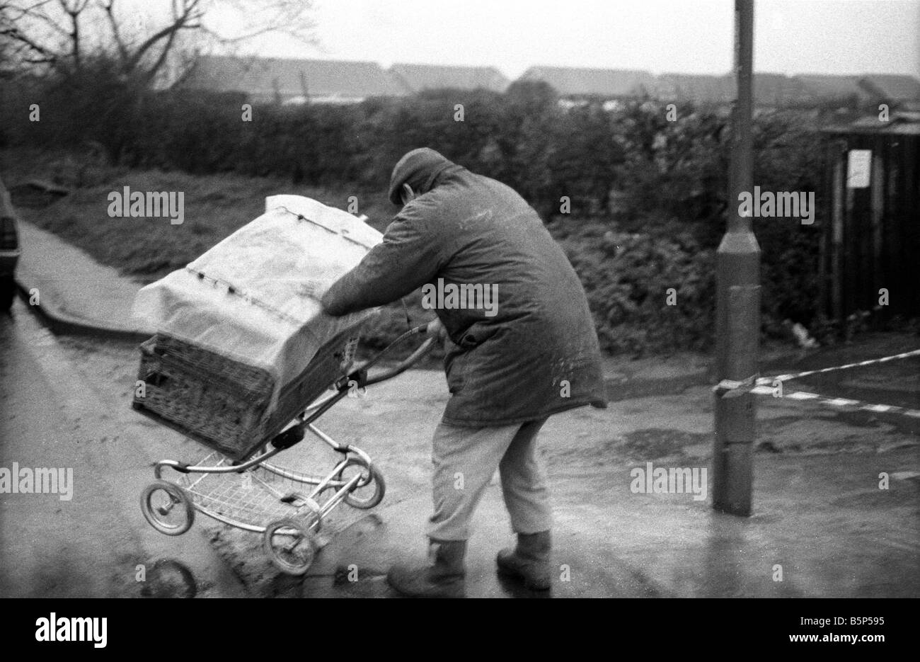 Pigeon racing in the UK. Working class sport Stock Photo - Alamy