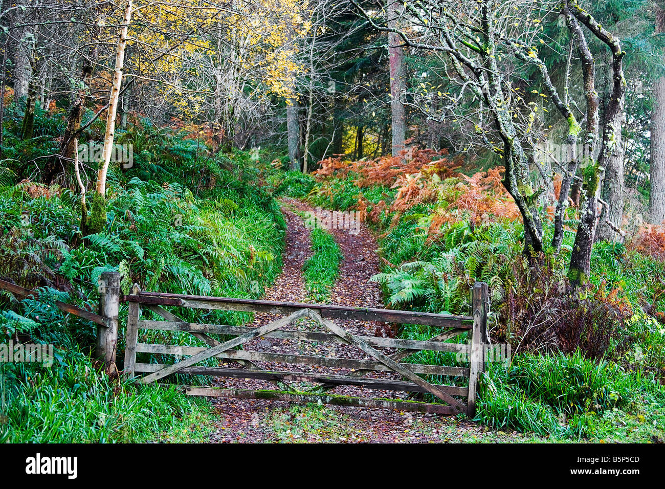 Longformacus. Scottish borders. Scotland Stock Photo - Alamy