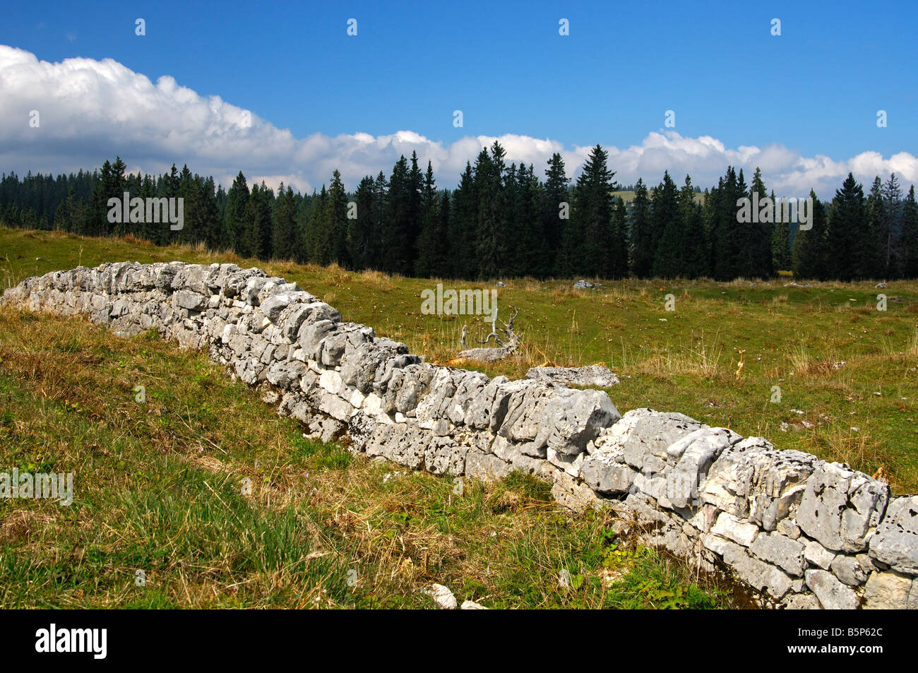 Traditional stone wall fence hi-res stock photography and images - Alamy