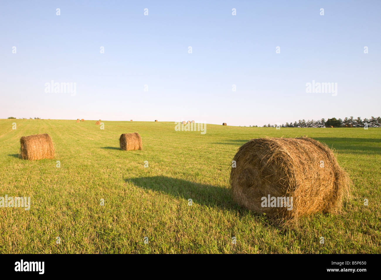 Pennsylvania farmland summer landscape hi-res stock photography and ...
