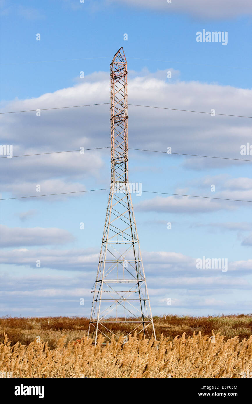 Tall Tower In Field